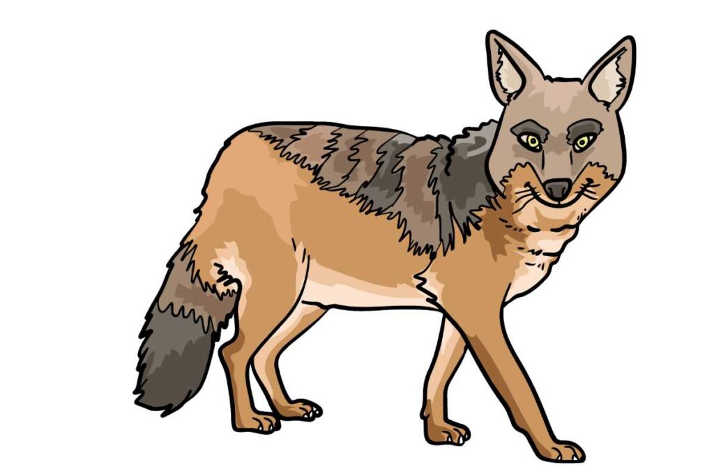 The 12 Best Panchatantra Stories with Moral - English story