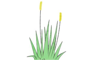 The Oak Tree and the Reed - English story